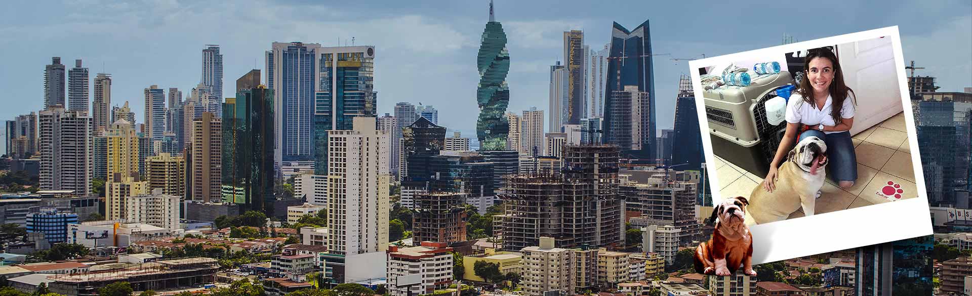 pama-banner | Panama Pet Relocation