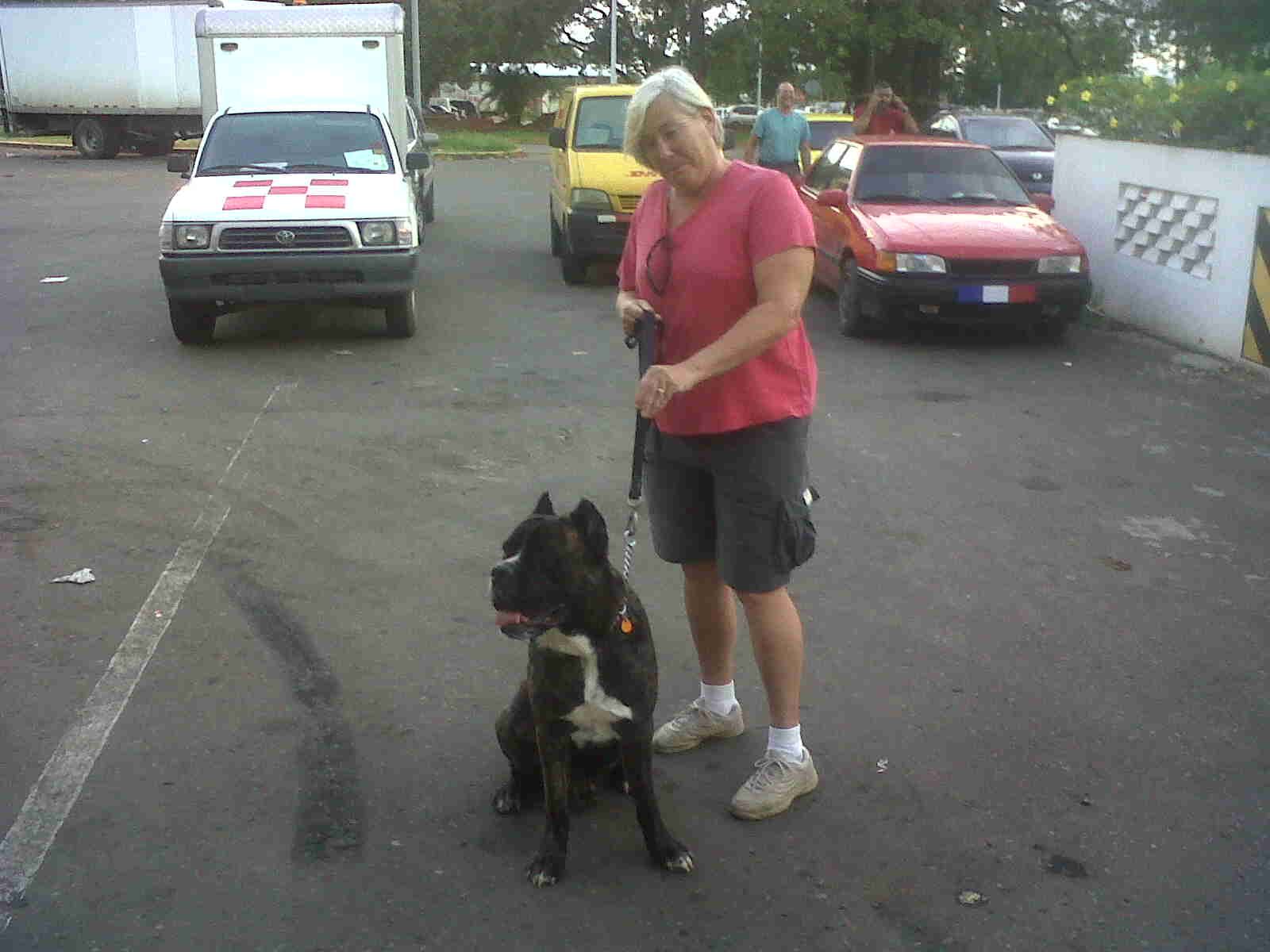 pic | Panama Pet Relocation